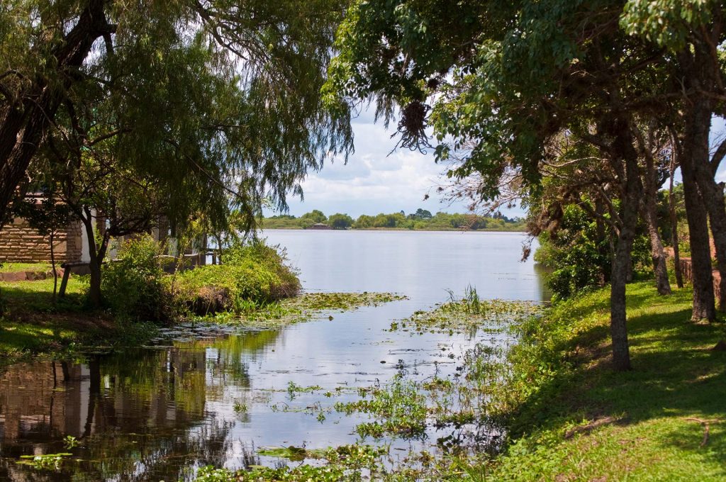 El Parque Provincial Iberá a punto de Convertirse en Parque Nacional ...