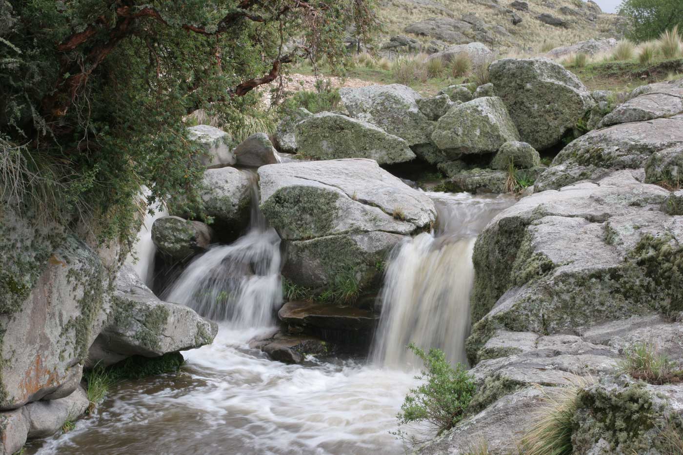Parque Nacional Quebrada del Condorito - Córdoba - Tripin Argentina